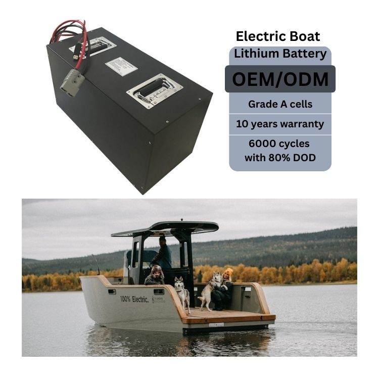 Waterproof Lifepo4 Battery